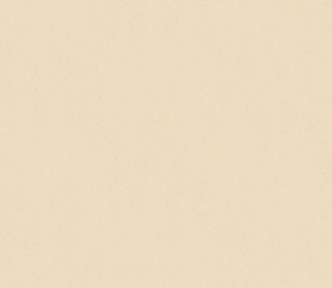 REMO wood metal | Plank